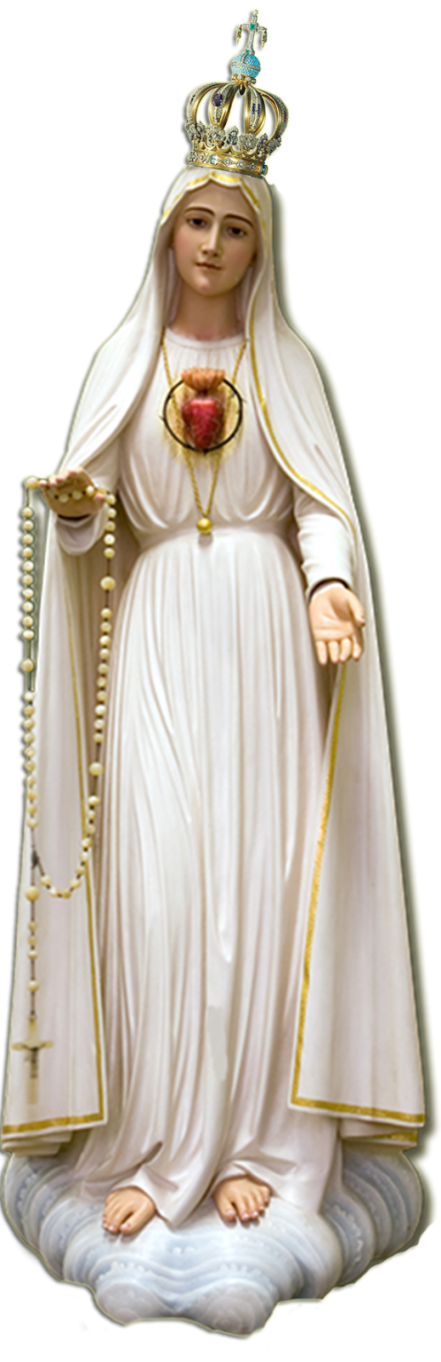 The Miraculous 54-Day Rosary Novena - Divine Mercy