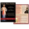 Flyer - Divine Mercy Sunday • 100 Pack - Divine Mercy