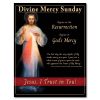 Double Sided Flyer - Divine Mercy Sunday • 100 Pack - Divine Mercy
