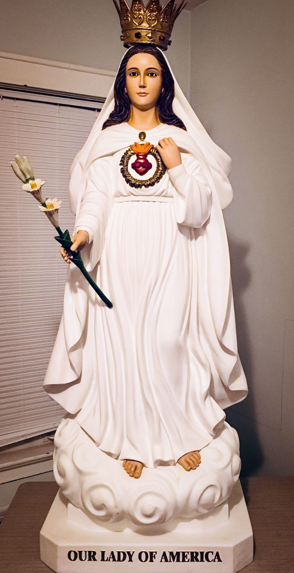 Our Lady of America - Published June 9, 2020 - Five Messages - Divine Mercy